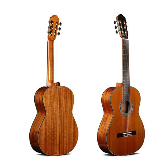Professional Guitar Manufacturers | Deviser guitar