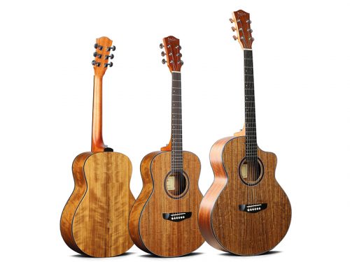 Deviser Popular Acoustic Guitar Brands | Deviser Guitar